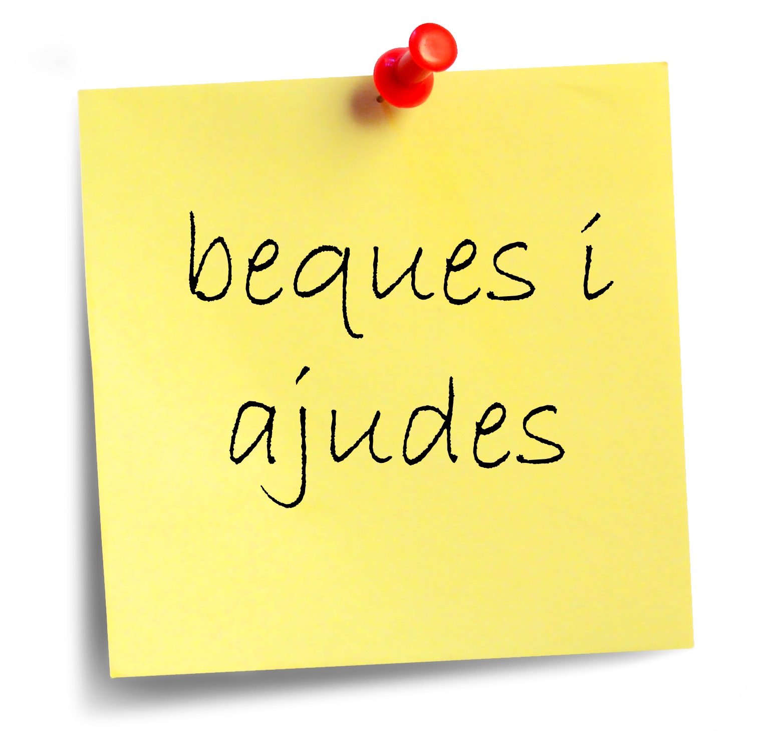 Beques i ajuts – Plataforma InnoAMB